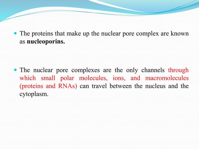 Nucleus structure and nuclear pore complex | PPTX | Biological Sciences | Science