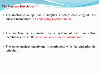 Nucleus structure and nuclear pore complex | PPTX