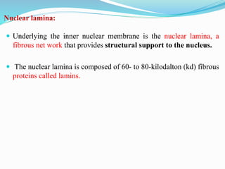 Nucleus structure and nuclear pore complex | PPTX