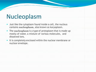Nucleus | PPT | Free Download