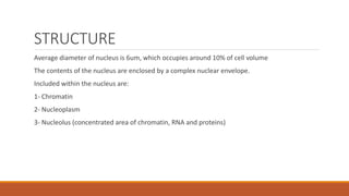 Nucleus.pptx