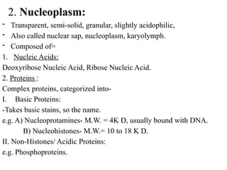 nucleus ultrastructure and its important functions | PPTX
