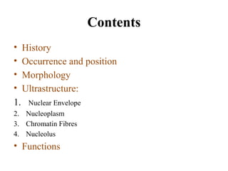 nucleus ultrastructure and its important functions | PPT