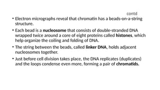 Nucleus.pptx for bs all semesters this is required | PPT