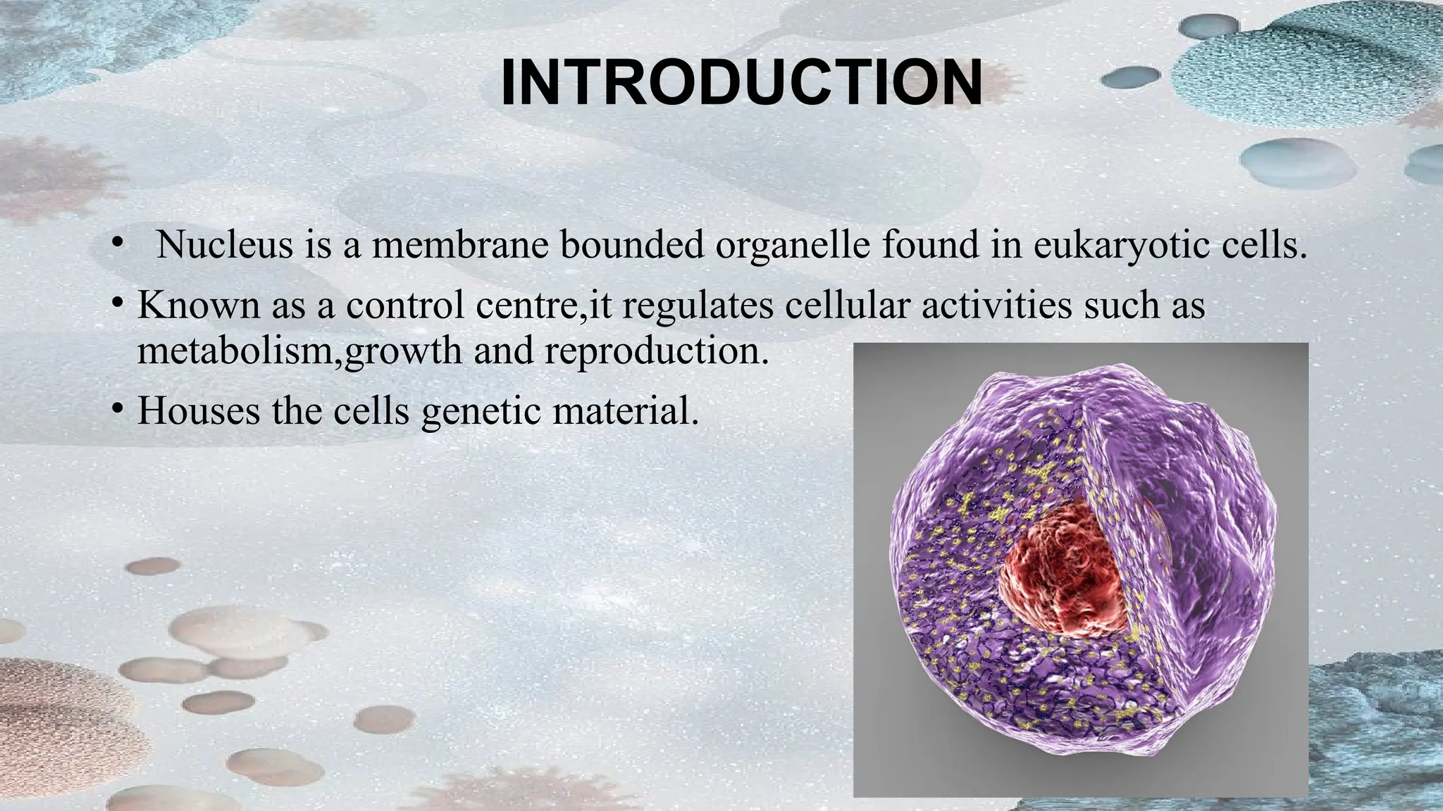NUCLEUS.pptx structure and fuction of nucleus | PPT