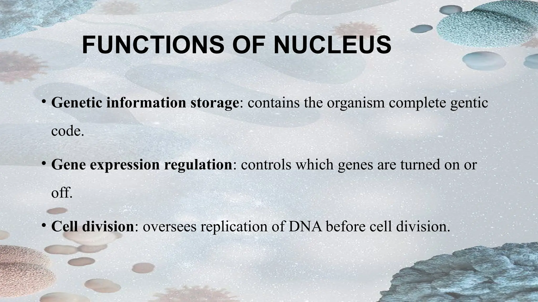 NUCLEUS.pptx structure and fuction of nucleus | PPT