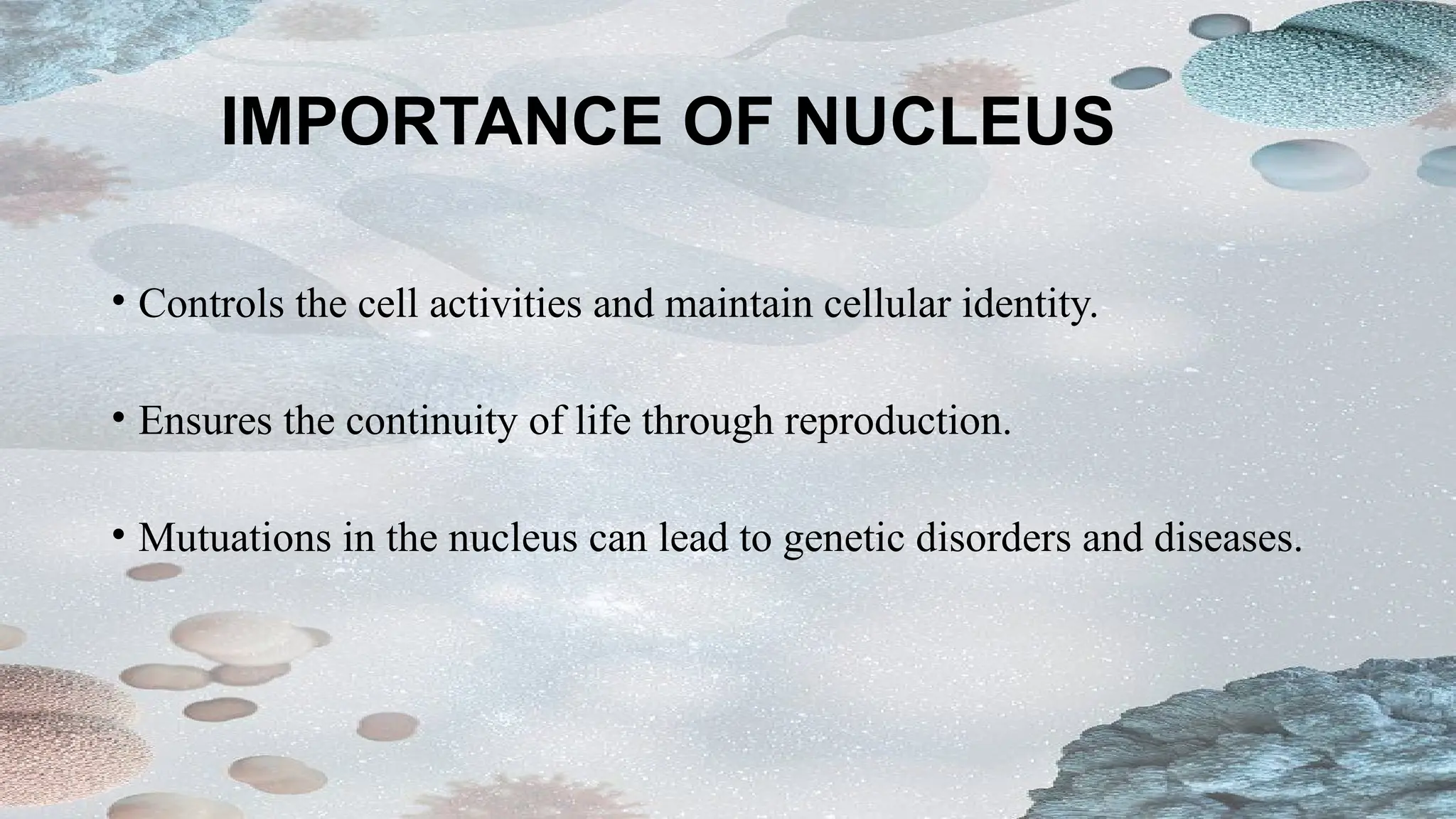 NUCLEUS.pptx structure and fuction of nucleus | PPT