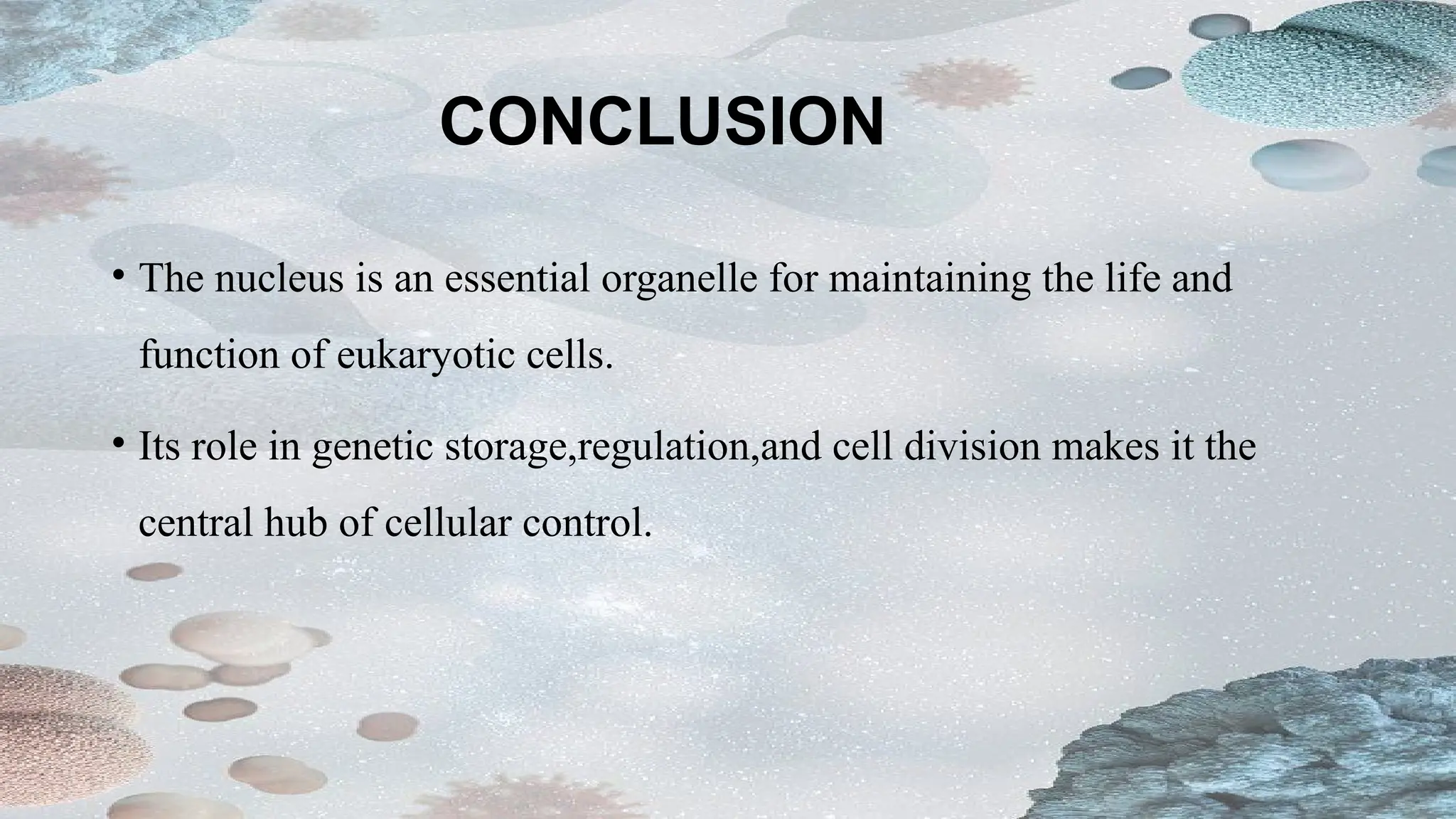 NUCLEUS.pptx structure and fuction of nucleus | PPT