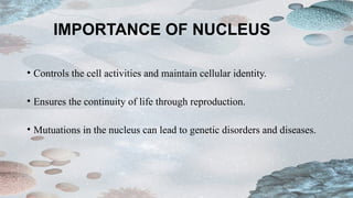 NUCLEUS.pptx structure and fuction of nucleus | PPTX