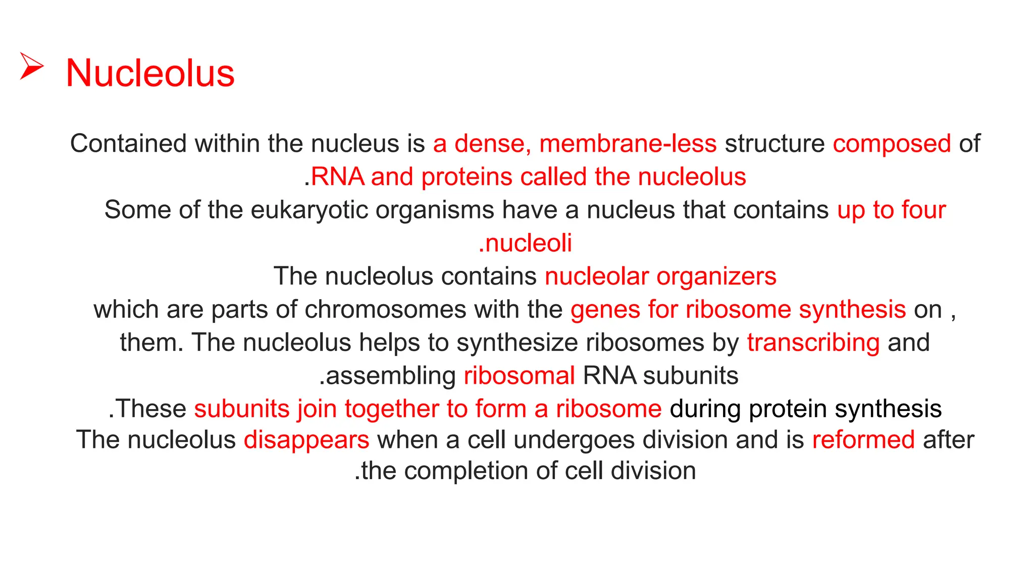 Nucleus presentation 12- 12- 2024ab.pptx