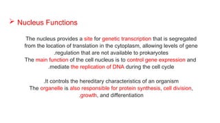 Nucleus presentation 12- 12- 2024ab.pptx