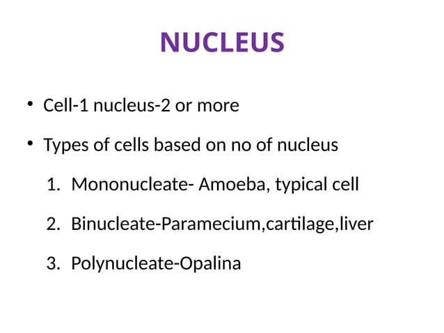 STRUCTURE AND FUNCTIONS OF NUCLEUS & NUCLEOLUS | PPT