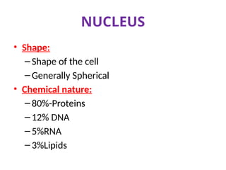 STRUCTURE AND FUNCTIONS OF NUCLEUS & NUCLEOLUS | PPT