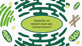 Nucleus.The Nucleus: Command Center of the Cel | PPT