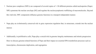 Cell Organelle : Nucleus - Structure and Parts | PPTX