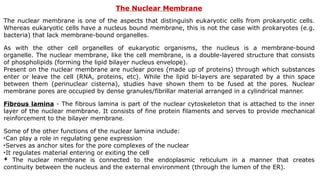 Nucleus-Genome-Organization-in plants.pptx