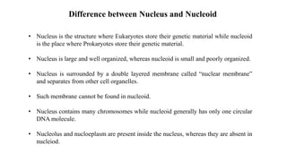 Nucleus structure and function | PPTX