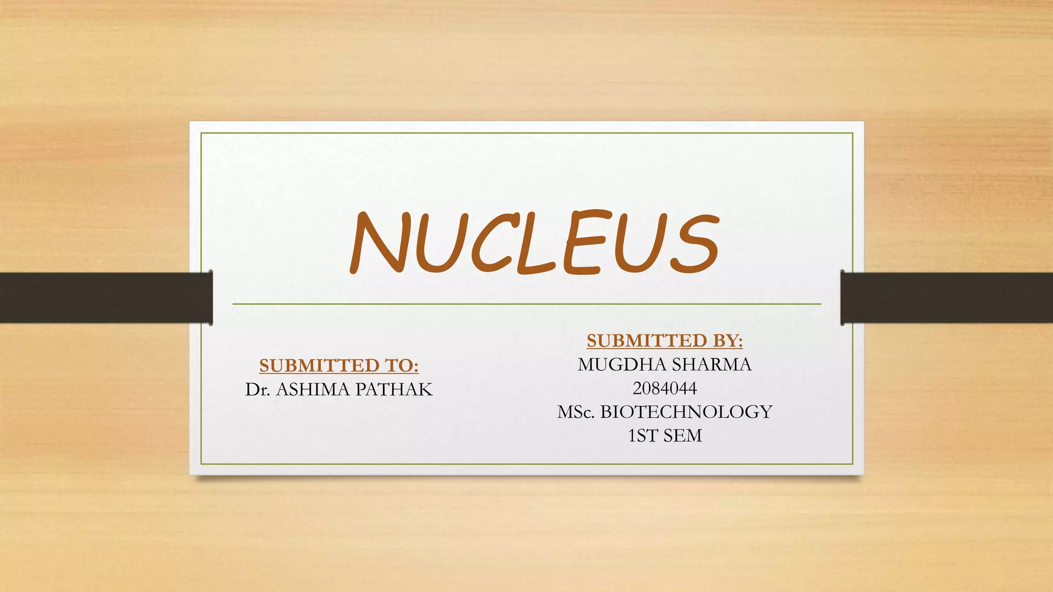 Nucleus | PPT