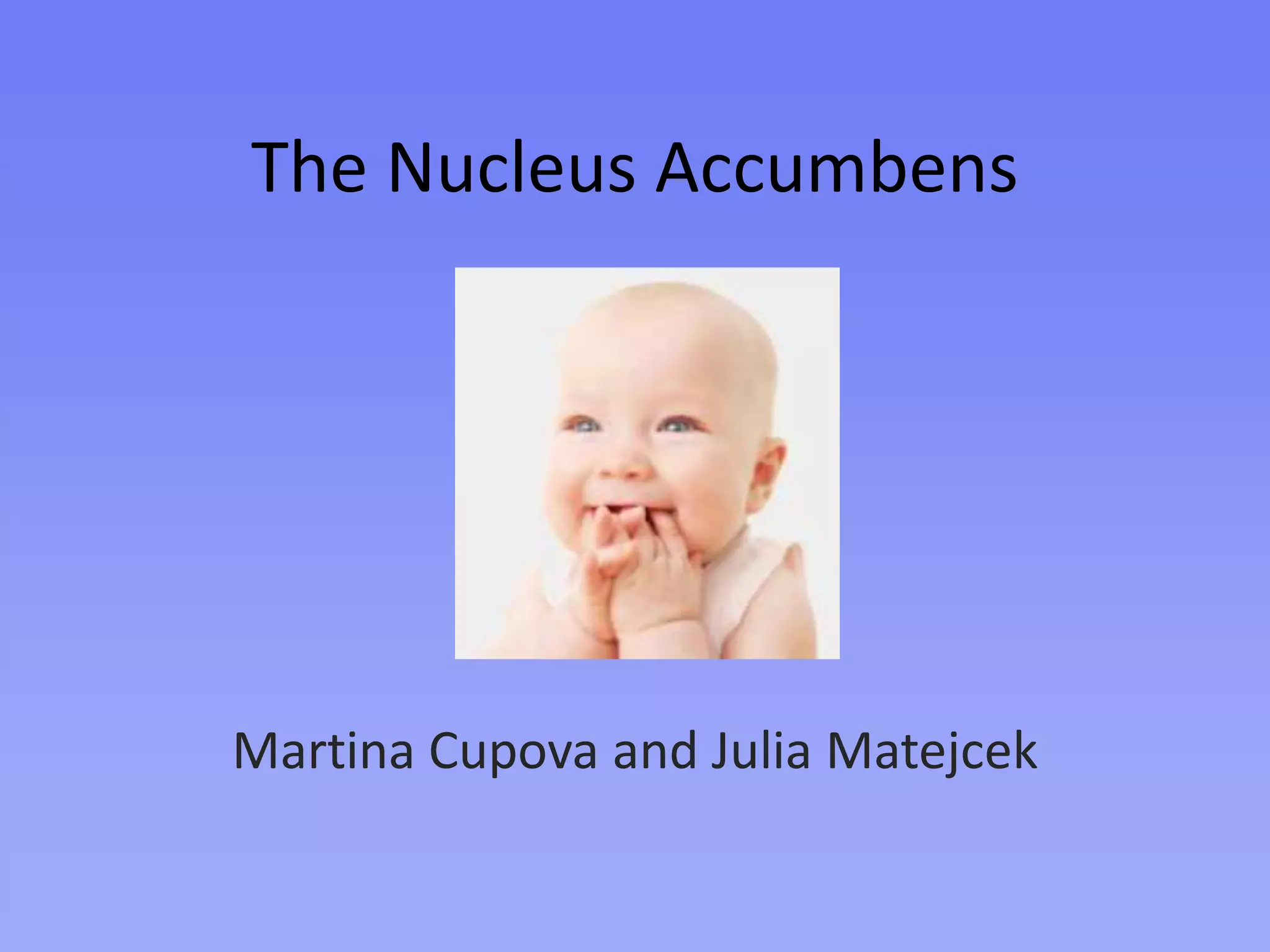 Nucleus Accumbens | PPTX
