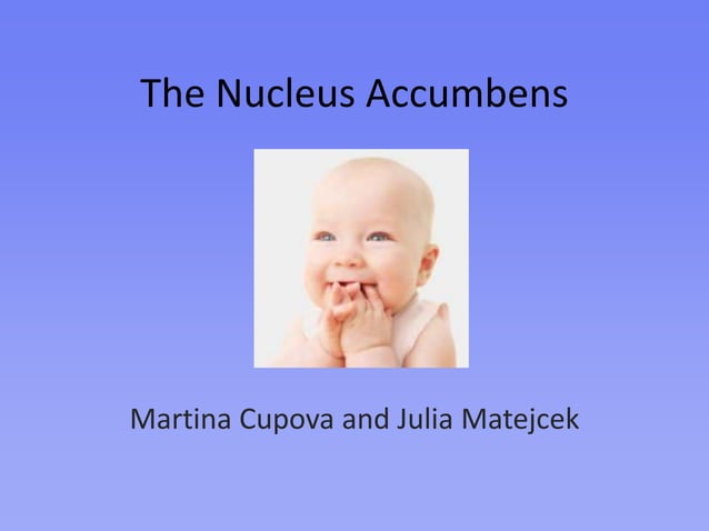 Nucleus Accumbens | PPTX