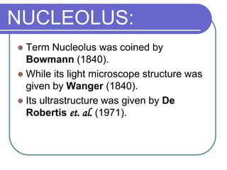 Nucleus and Chromatin.ppt