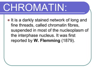 Nucleus and Chromatin.ppt