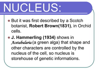 Nucleus and Chromatin.ppt