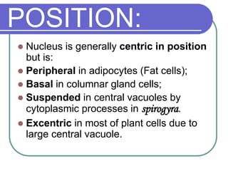 Nucleus and Chromatin.ppt