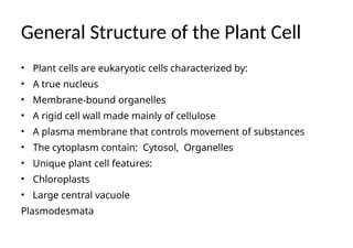 Comprehensive Overview of Plant Cell Nucleus and Cytoplasmic Organelles ...