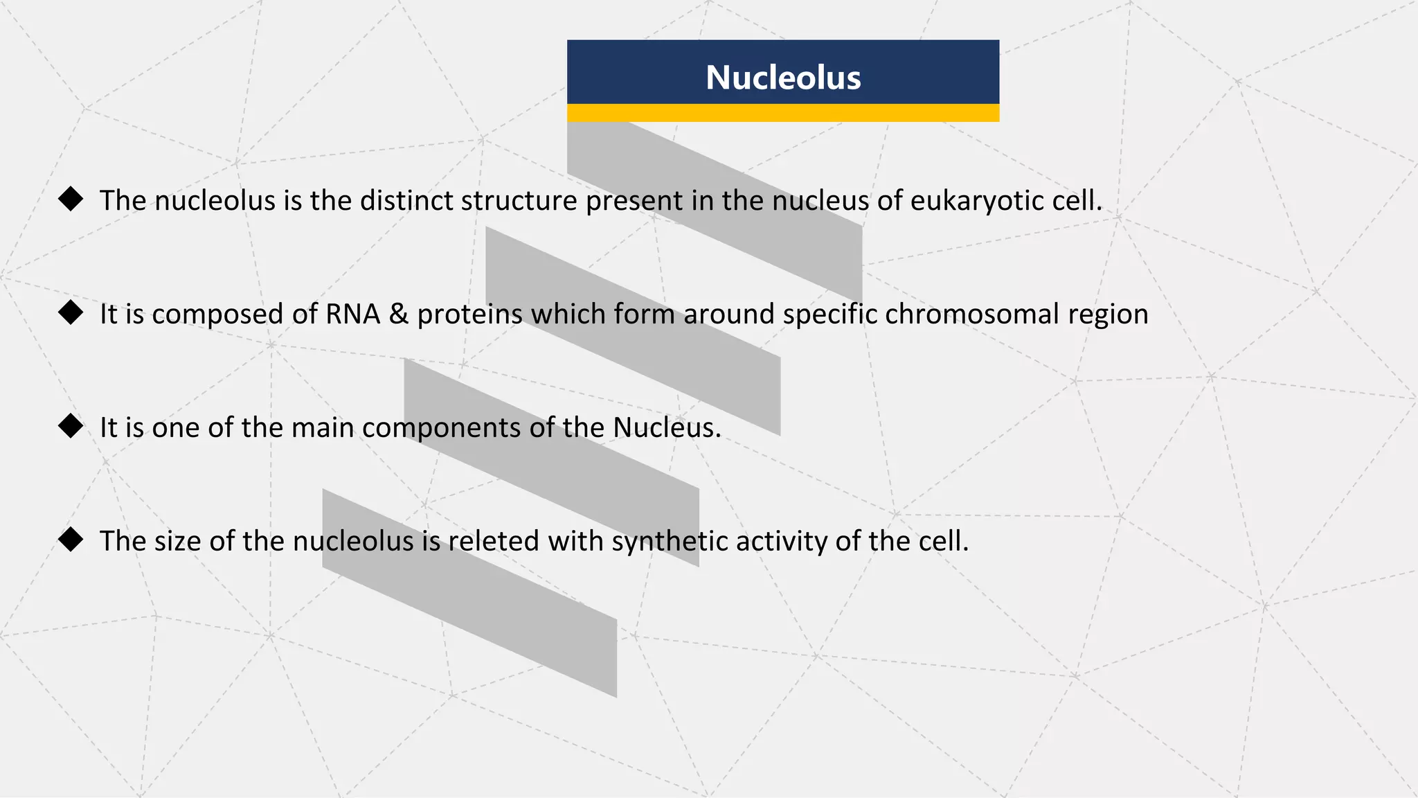 NUCLEUS AND ITS STRUCTURE.pptx