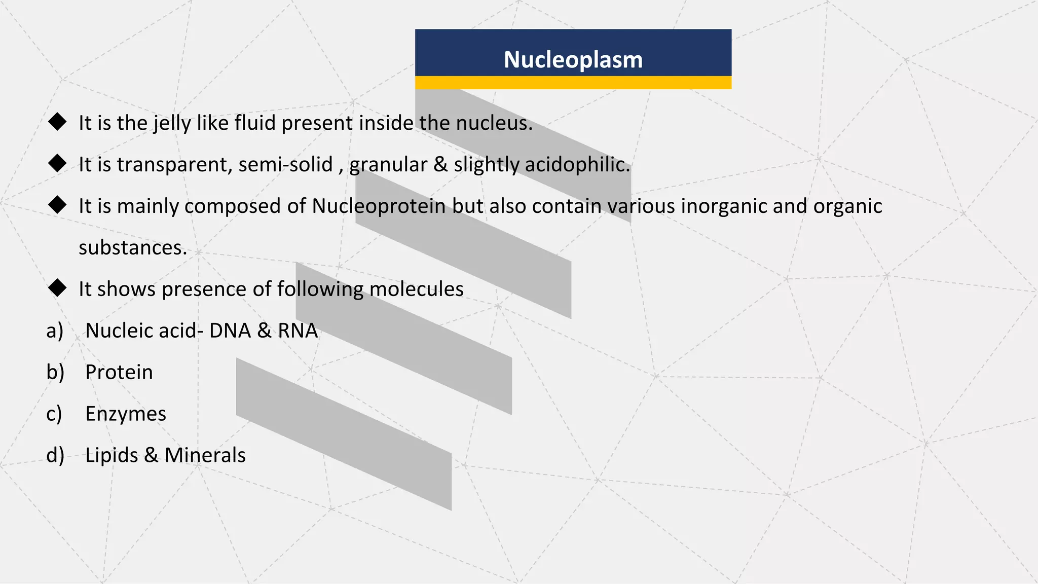 NUCLEUS AND ITS STRUCTURE.pptx