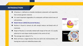 NUCLEUS AND ITS STRUCTURE.pptx