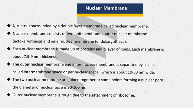 NUCLEUS AND ITS STRUCTURE.pptx