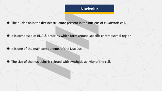 NUCLEUS AND ITS STRUCTURE.pptx