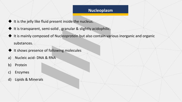 NUCLEUS AND ITS STRUCTURE.pptx