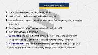 NUCLEUS AND ITS STRUCTURE.pptx