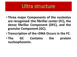 Nucleus and nucleolar | PPTX