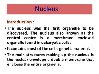 Nucleus and nucleolar | PPTX