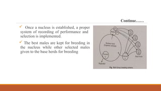 Nucleus breeding system in livestocks in india | PPTX