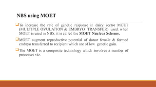 Nucleus breeding system in livestocks in india | PPTX