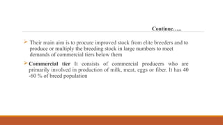 Nucleus breeding system in livestocks in india | PPTX