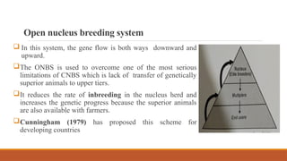 Nucleus breeding system in livestocks in india | PPTX