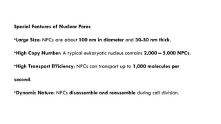 Nucleus, chromosomes, DNA structure and function | PPT