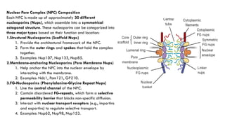 Nucleus, chromosomes, DNA structure and function | PPT