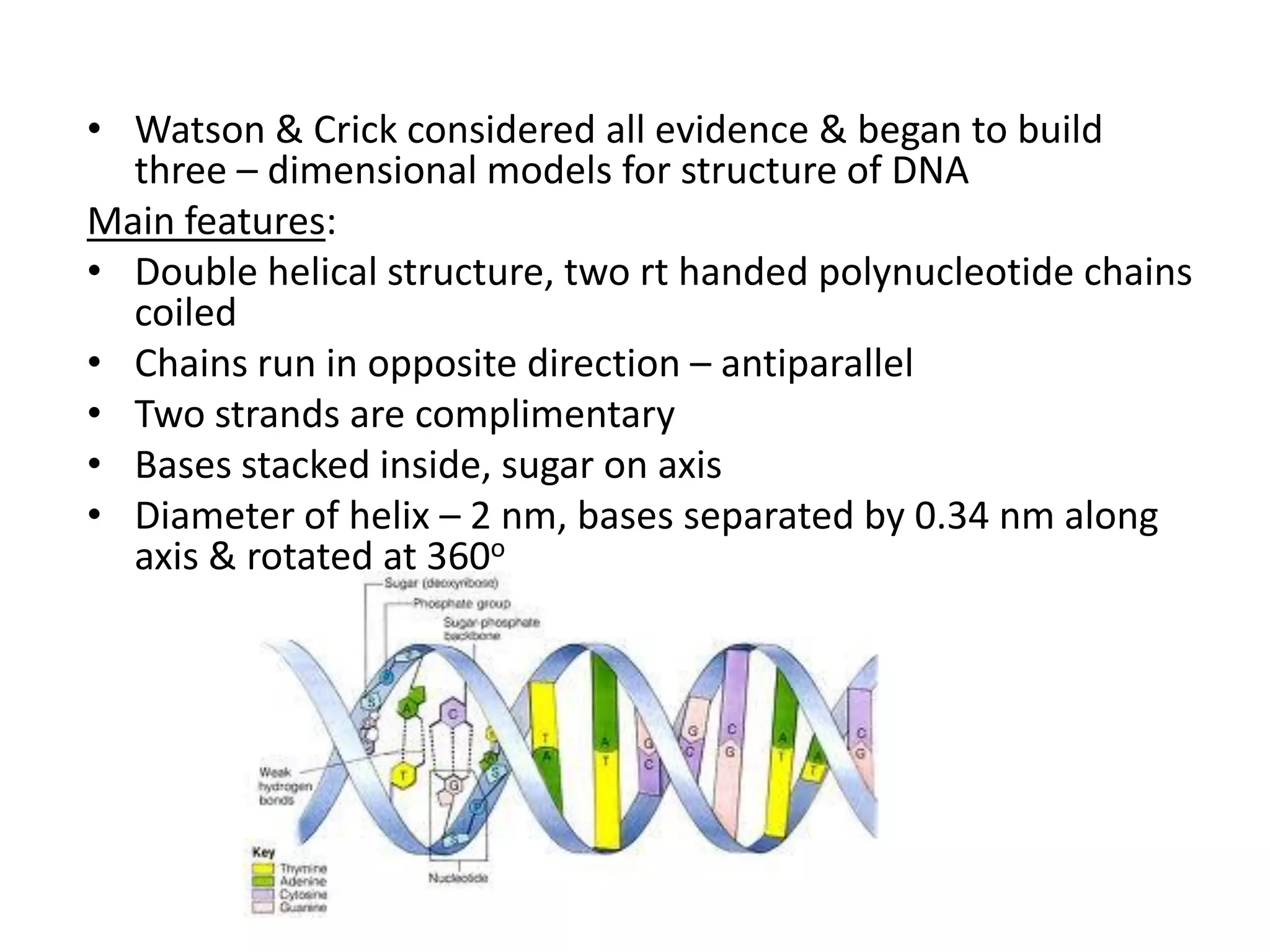 Nucleus Morphology And Function Pdf
