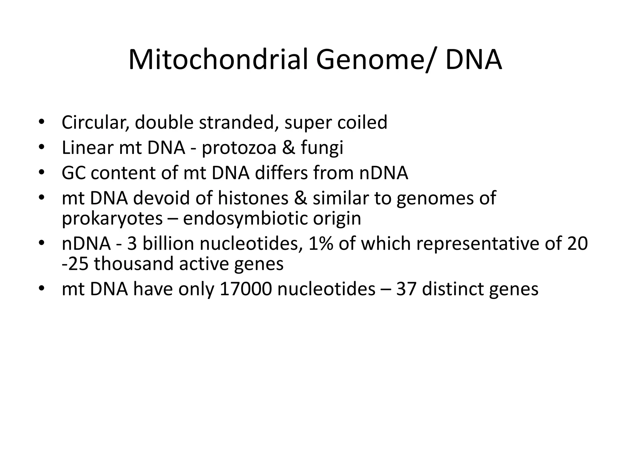 Nucleus Morphology And Function Pdf
