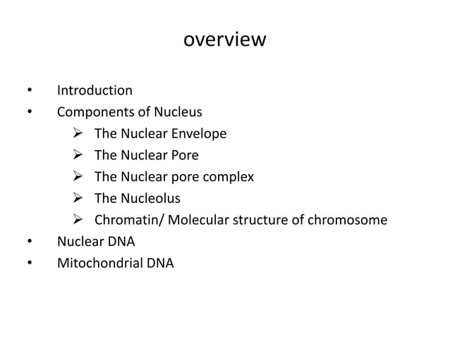 Nucleus – morphology & function | PPT