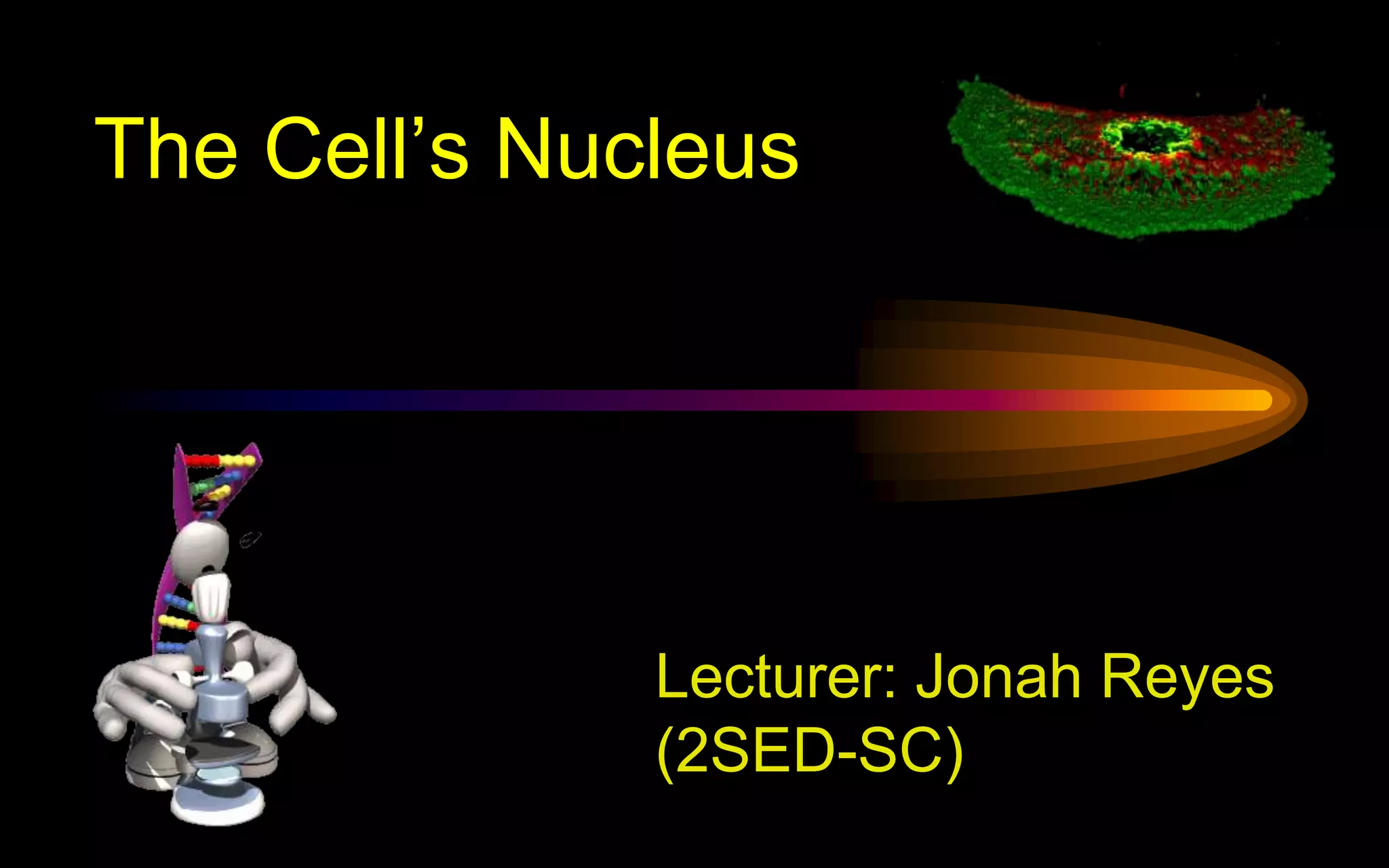 Nucleus of a cell | PPT