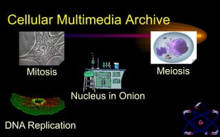 Nucleus of a cell | PPT