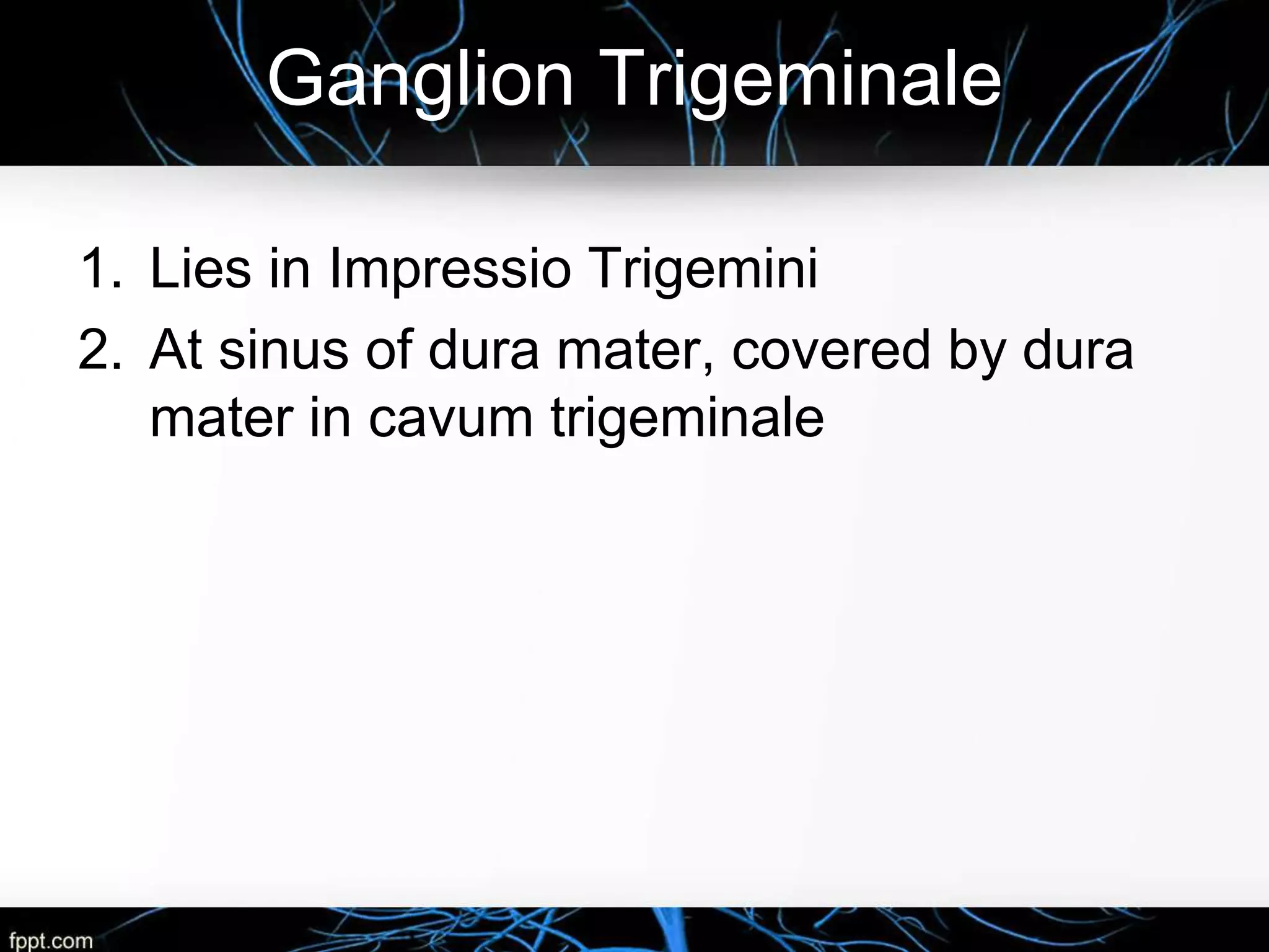 Nuclei of Trigeminus Nerve - Julius King Kwedhi | PPTX